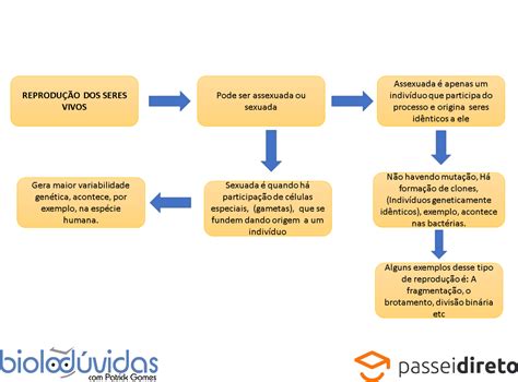 Reprodução assexuada O que é tipos exemplos e mapa mental