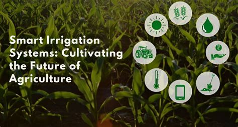 Smart Irrigation Systems Cultivating The Future Of Agriculture The