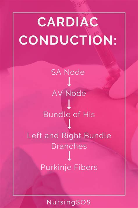 Lead Ecg Interpretation Electrocardiogram Tips For Nurses Artofit