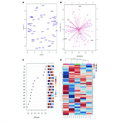 multivariate data analysis using metaboanalyst software a pca download scientific diagram