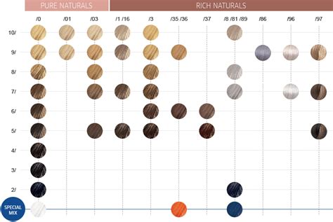Wella Demi Permanent Color Chart Nbkomputer