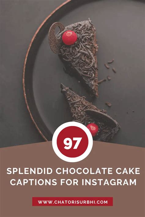 97 Splendid Chocolate Cake Captions For Instagram