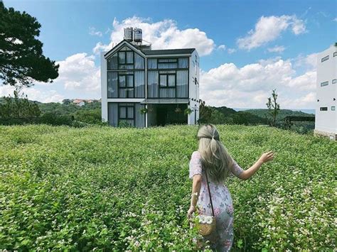 Homestay Đà Lạt Rừng Thông TOP 05 Đơn Vị Chất Lượng Được Yêu Thích