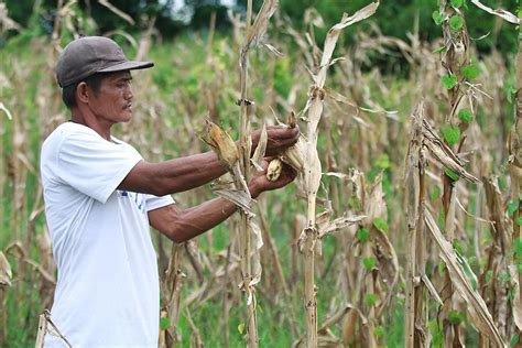 Marcos orders reactivation of Task Force El Niño GMA News Online