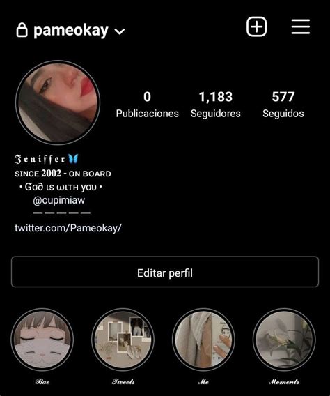 Coole Instagram Bios Bios Para Instagram Funny Instagram Captions