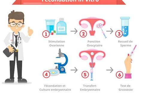 Ivf Definition And Stages Of In Vitro Fertilisation Wistim