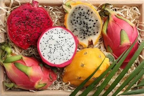 Conoce la exótica pitahaya o fruta del dragón Código San Luis