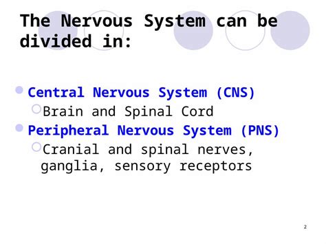 PPTX Anatomy Of The Brain And Cranial Nerves 1 The Nervous System