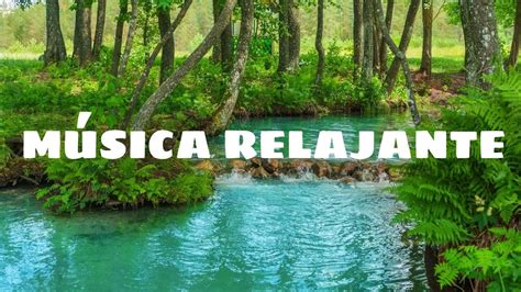 MÚSICA RELAJANTE PARA ALIVIAR EL ESTRES Y LA ANSIEDAD MÚSICA PARA