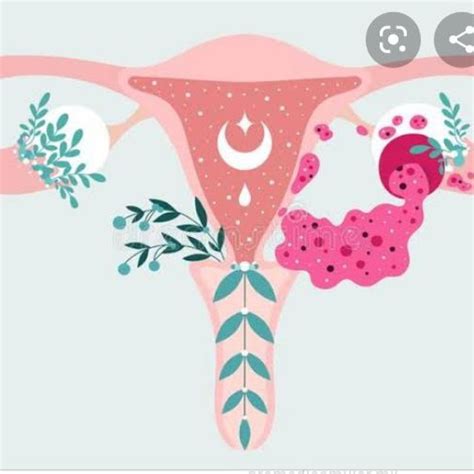 Ciclo Menstrual Y Sus Fases By Ciclo Menstrual Y Sus Fases Podchaser
