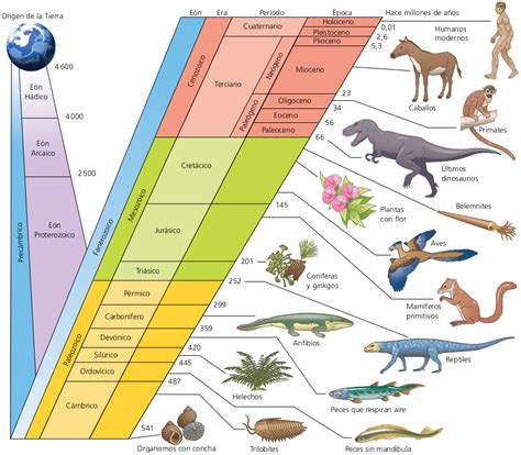 Linea Del Tiempo De La Era Geologica Linea Del Tiempo De Las Eras