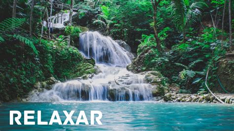 Música Para Relaxar Cachoeira Relaxante Acalmar a Mente YouTube