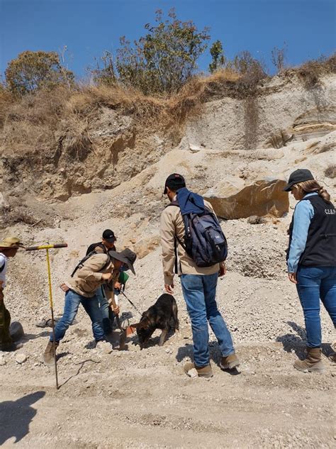 Nayarit Noticias 7 RESTOS ÓSEOS EN TEPIC 2