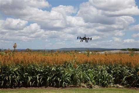 Entenda o que é agricultura de precisão eCycle