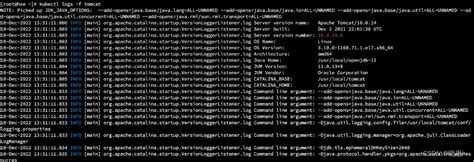 kubectl logs 用法 kubectl logs l csdn博客