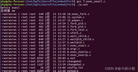 【linux进程基础与exec族函数简单使用】 csdn博客