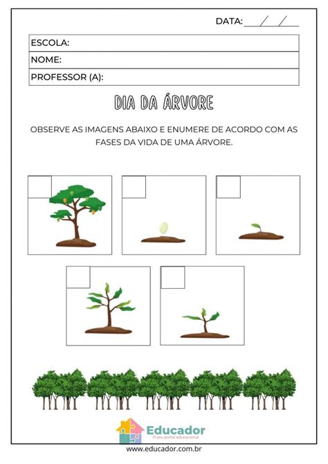 Atividades para o Dia da Árvore Educador