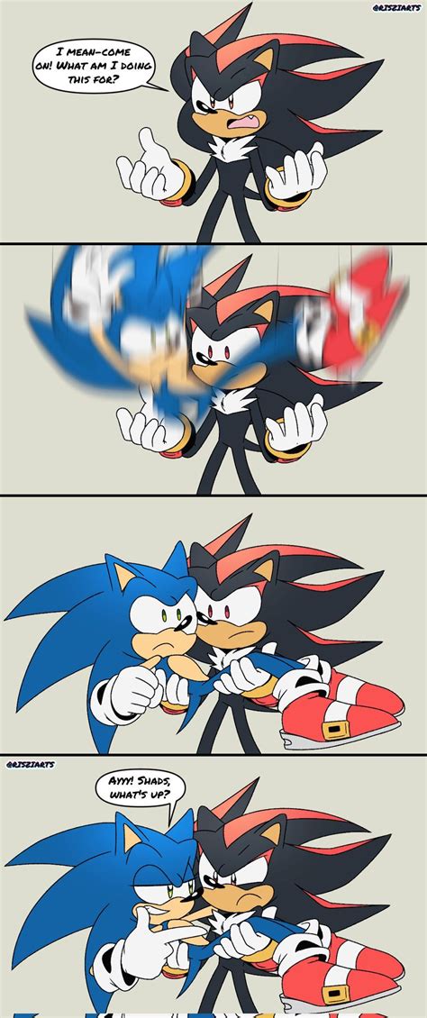 An Image Of Sonic The Hedgehog Comic Strip