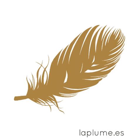 Feather Quill GIFs Get The Best On GIPHY