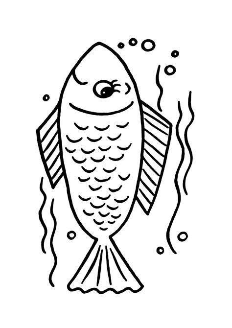 Peixe Carpa Para Colorir Imprimir Desenhos