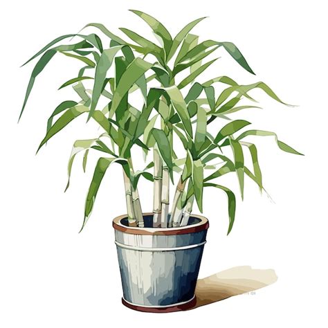 Uma Planta Em Vaso Folhas Verdes Senta Se Em Uma Panela De Metal