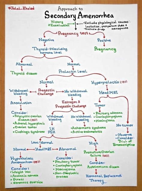 Secondary Amenorrhea Medizzy