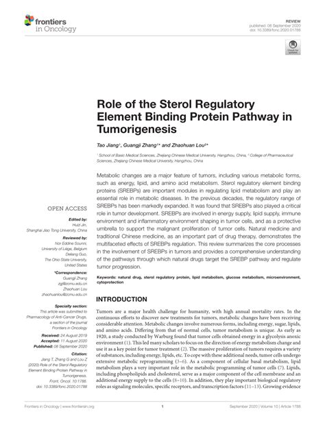 PDF Role Of The Sterol Regulatory Element Binding Protein Pathway In