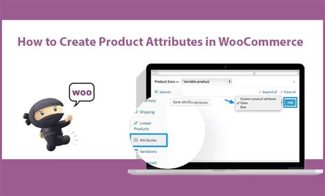 How To Create Product Attributes In WooCommerce WOOVINA