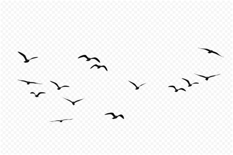 Choose Your Favorite Transparan Background PNG Images For Your Designs