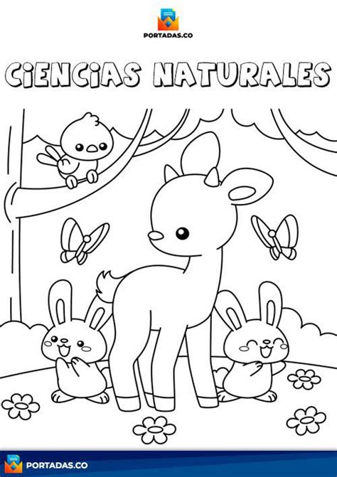 Arriba Dibujos Ciencias Sociales Para Colorear Ltima Camera Edu Vn