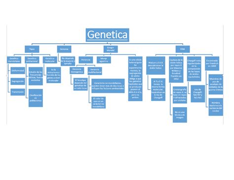 Bases De La Genetica Mapa Conceptual Mapashibaswap The Best Porn Website