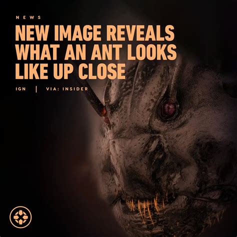 IGN On Twitter The Intricate And Startling Details Of An Ants Face