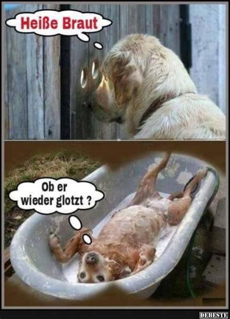 33 Lustige Sprueche Bilder Tiere Spruchevlh