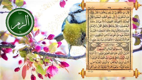 Beautiful Recitation Of Surah Az Zumar Quran Pak Chapter 39 Surah 39