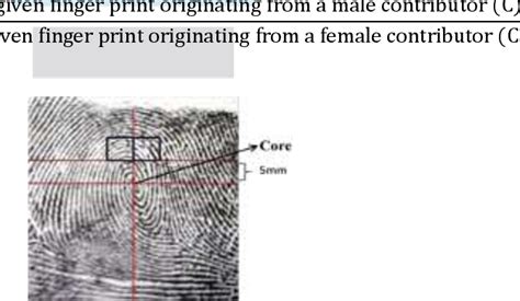 figure 1 from gender recognition system design with help of fingerprint using correlation and