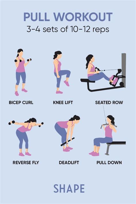 Simple Push Workout Routine Gym For Push Pull Legs Fitness And Workout Abs Tutorial