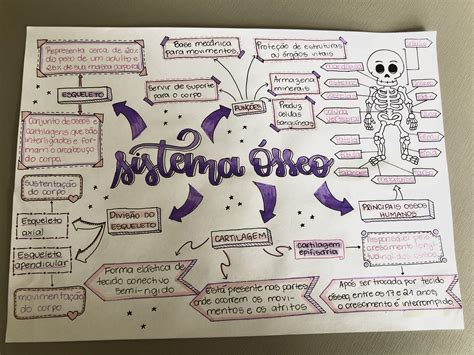 Mapa Mental Do Sistema Esquel Tico Edulearn