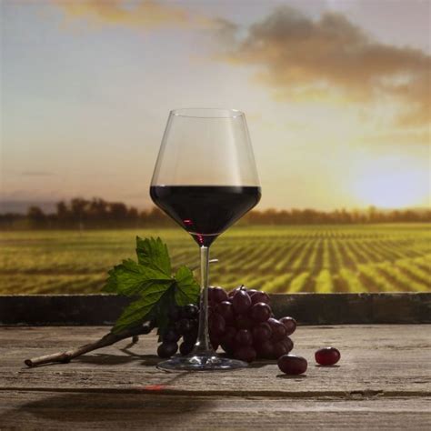 Pol Tica D Vinos De Espa A Una Gu A Completa Con Las Mejores