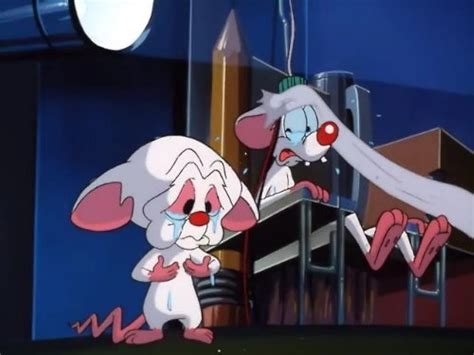 Pinky And The Brain Brains Song Tv Episode 1996 Imdb