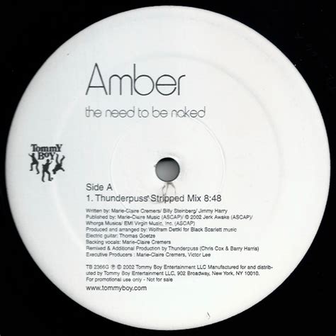 Amber The Need To Be Naked Vinyl Rpm Promo