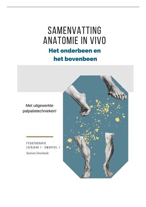 Samenvatting Anatomie In VIVO Leerjaar 1 Kwartiel 1 Het Onderbeen