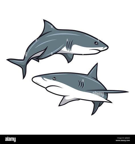 Vector Cartoon Shark Set Isolated Hand Drawn Colored White Sharks With Contour Ocean Predator