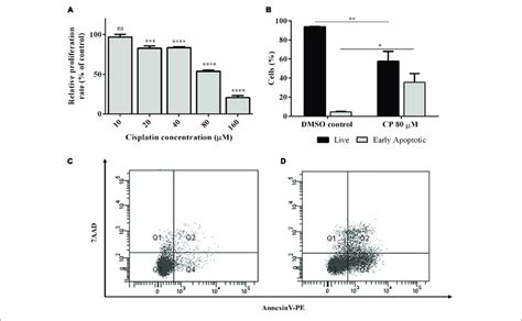 Cisplatin Induced Apoptosis And Proliferation In HeLa Cells A