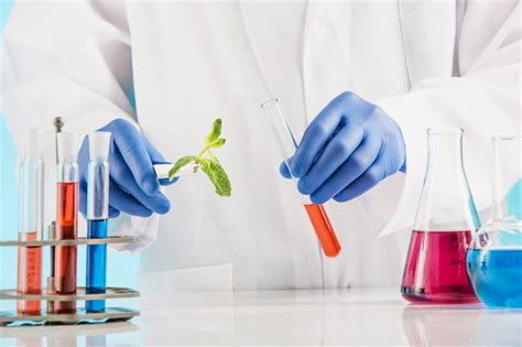 Ciencias De Las Plantas En Laboratorio Foto Gratis