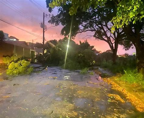 Em Betim temporal causa queda de árvores e semáforos alagamentos e
