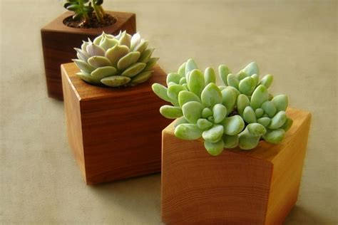 Pot pour plante d intérieur original et peu encombrant 23 idées