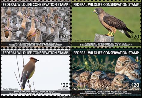 Conservation Education Quotes Quotesgram