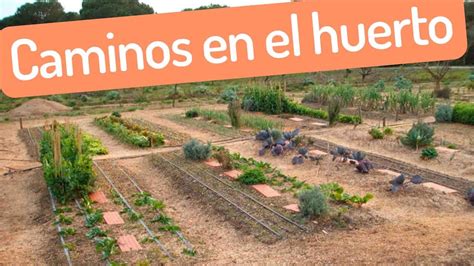 PLANIFICAR El Huerto Familiar Caminos En El Huerto YouTube