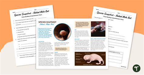 Reading Worksheets Ideas In Reading Comprehension Worksheets The Best