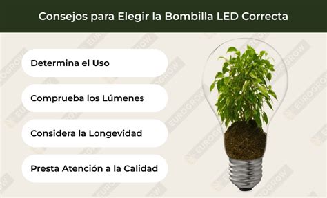 Equivalencias En Iluminaci N Led Guia Completa